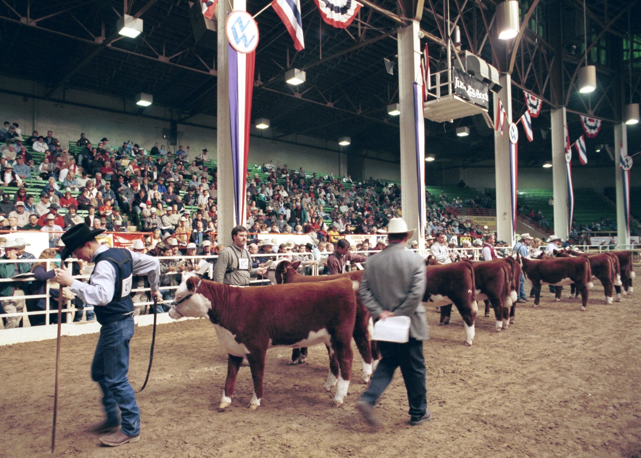 Getting a Stock and Station Licence in Queensland - Complete Property ...